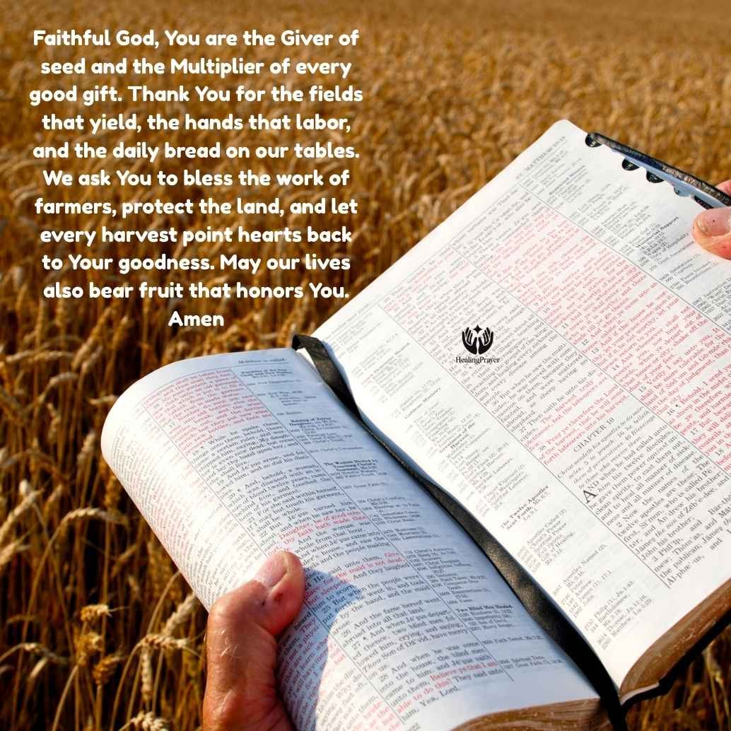 90+ Powerful Prayers for Harvest with Bible Verses