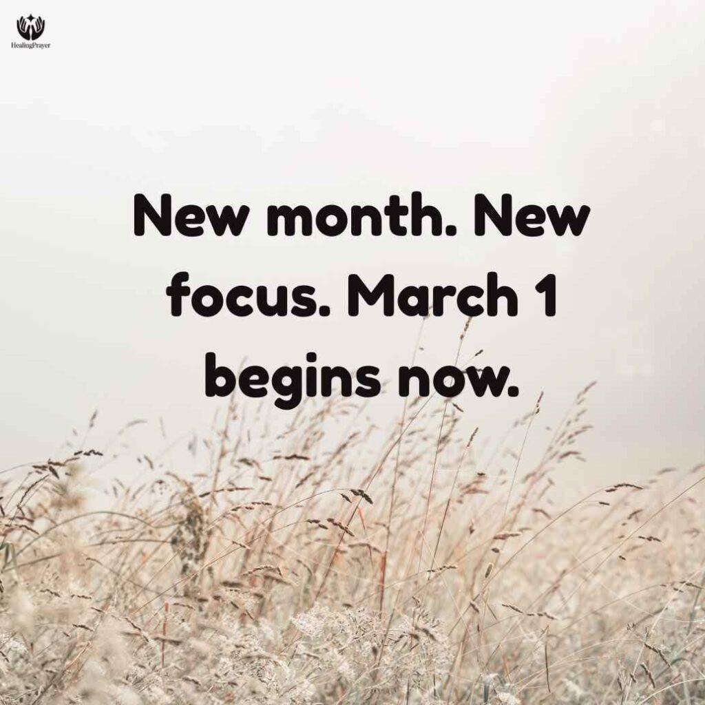 600+ Uplifting March Quotes to Welcome Spring & Positivity