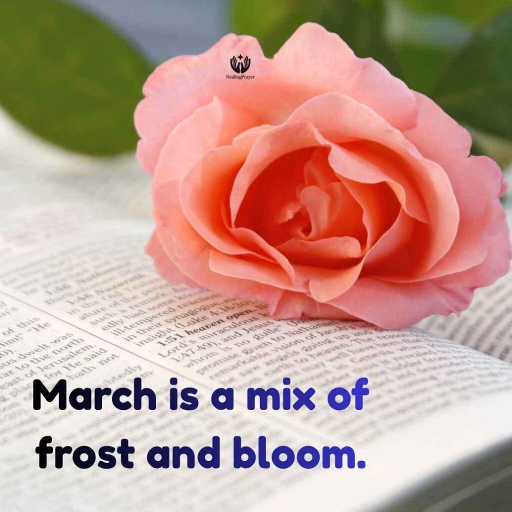 600+ Uplifting March Quotes to Welcome Spring & Positivity