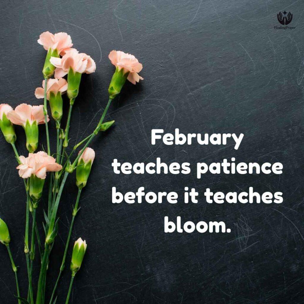 600+ Romantic February Quotes to Inspire Love & Hope