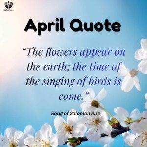 200+ Uplifting April Quotes for Spring Joy, & Fresh Start