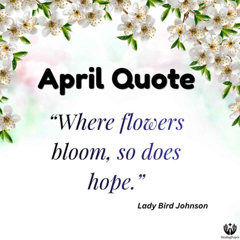 200+ Uplifting April Quotes for Spring Joy, & Fresh Start