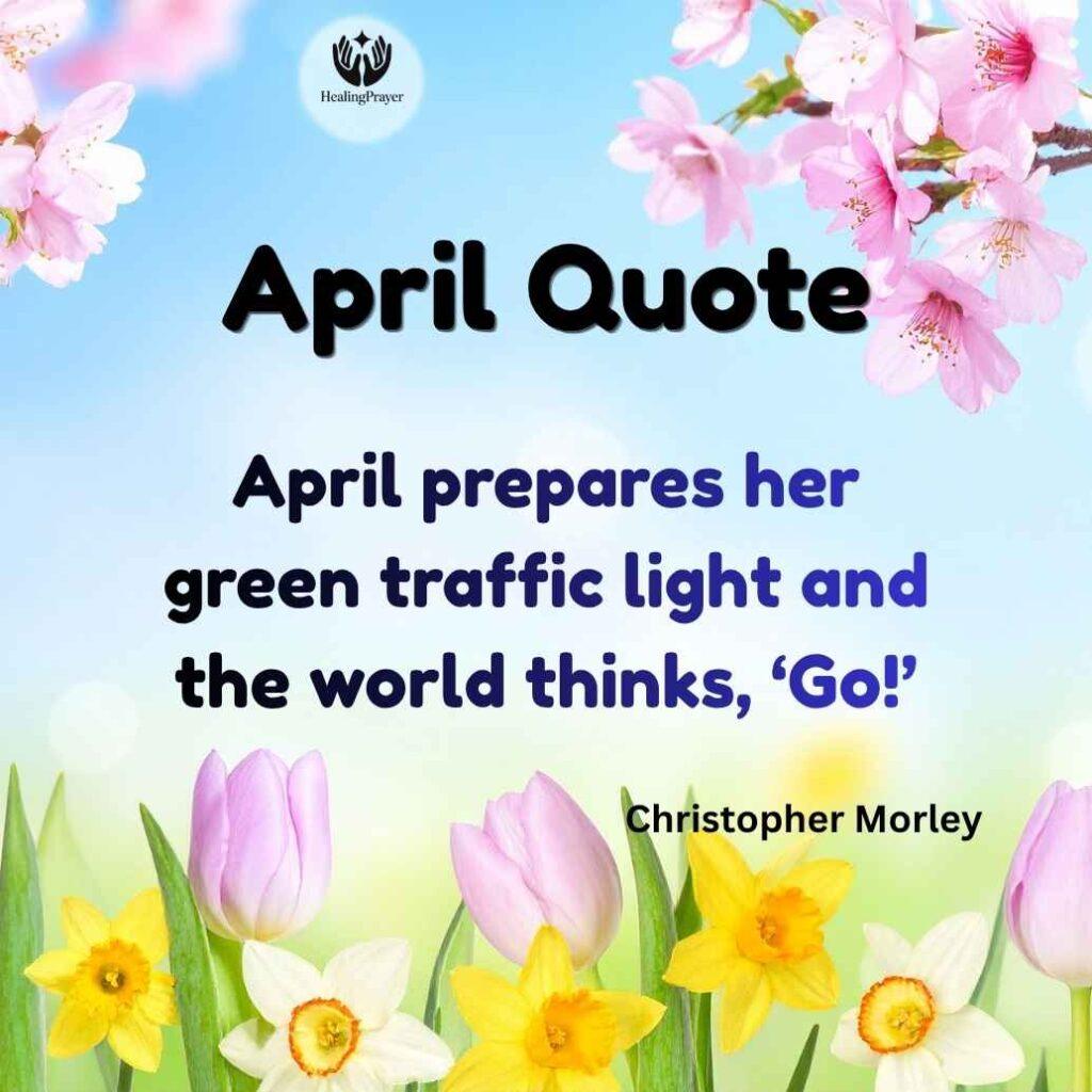 200+ Uplifting April Quotes for Spring Joy, & Fresh Start
