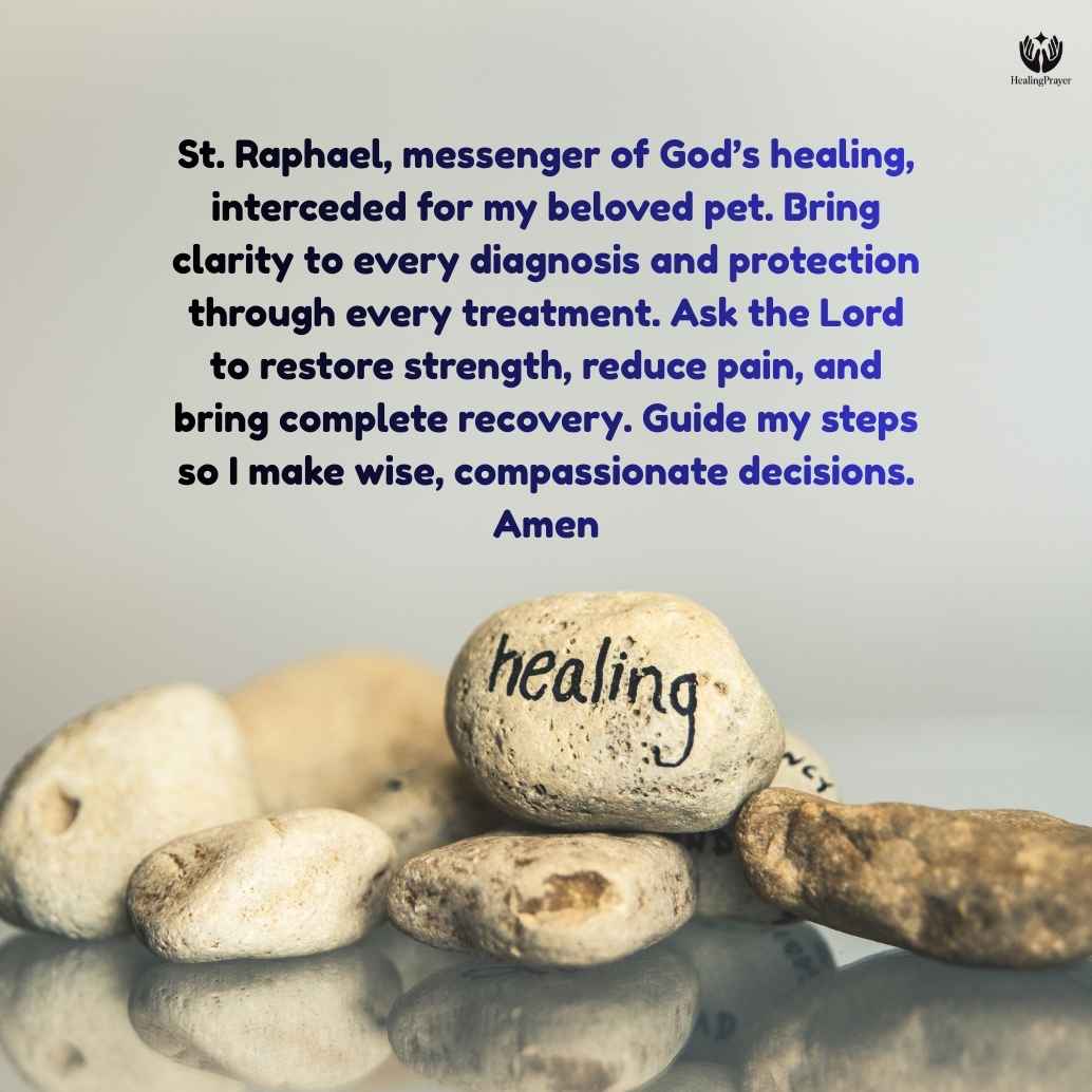 60+ Powerful Catholic Prayers for Sick Pets with Bible Verse