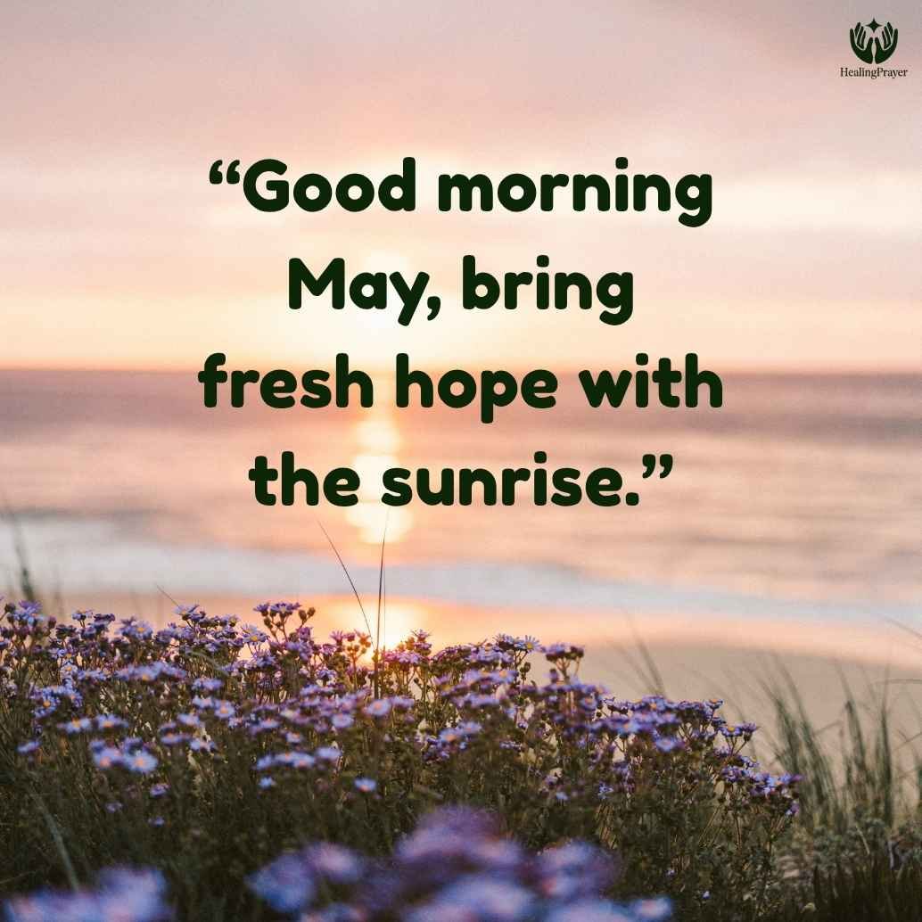 375+Hello May Quotes for Captions, Funny Sayings, and Joy