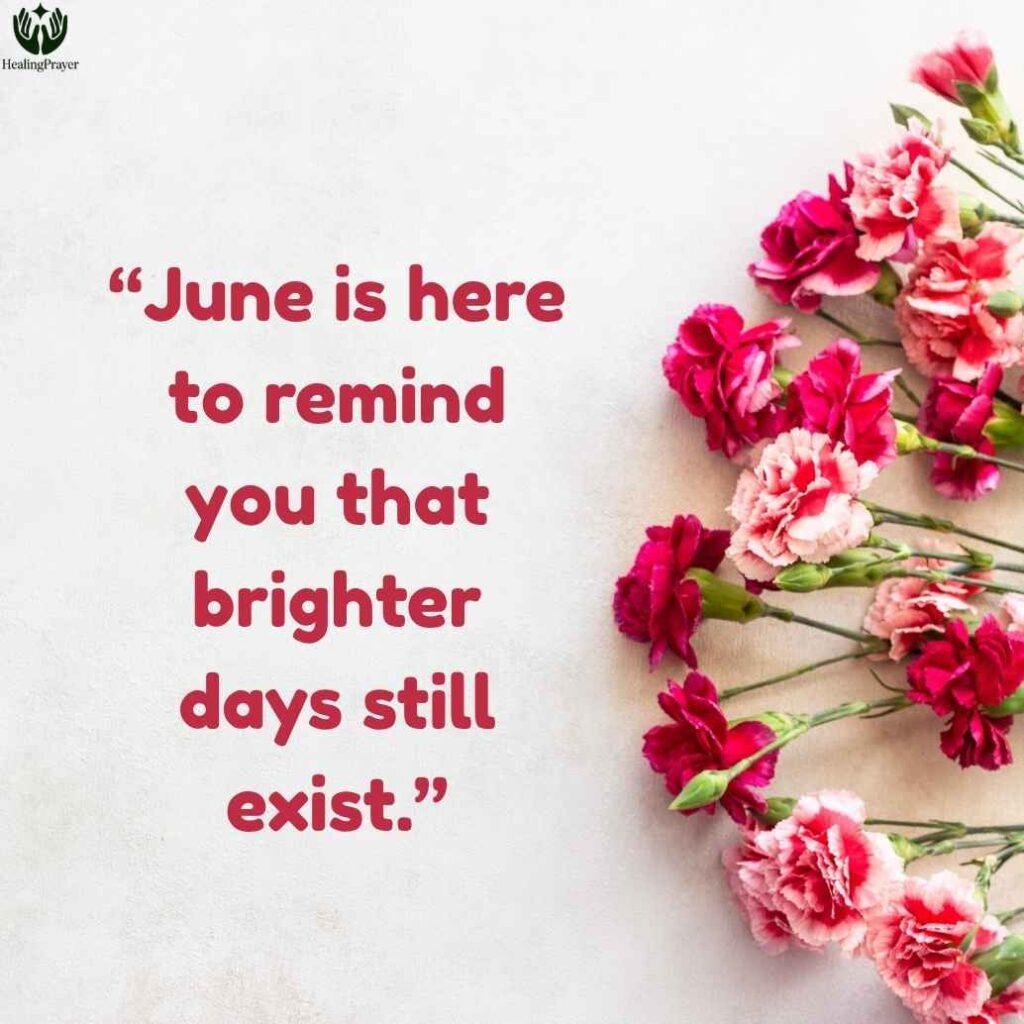 490+ Hello June Quotes to Welcome Summer & Sunshine (2026)