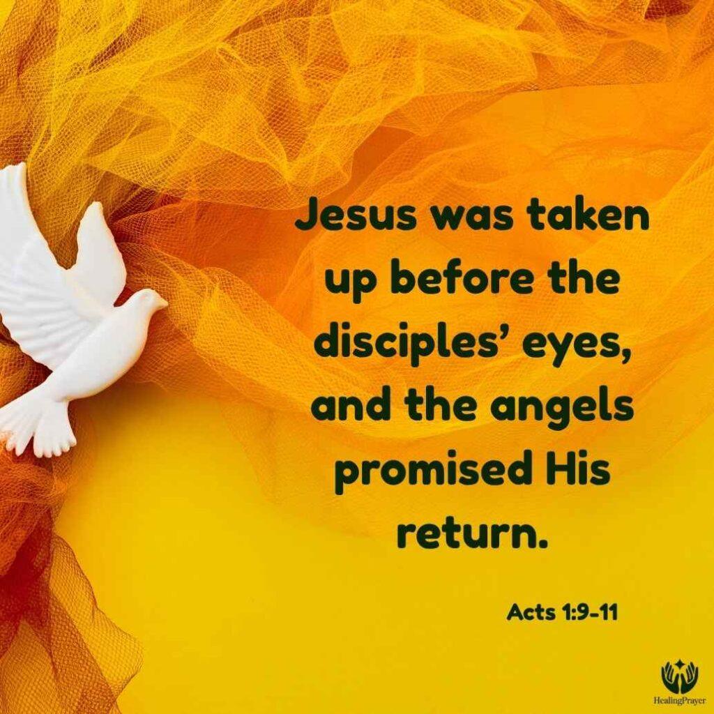 235+ Uplifting Ascension Day Quotes, Bible Verses, Readings